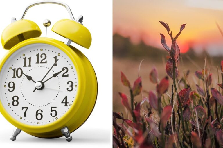 Debate Intensifies Over October Clock Change: Pros and Cons ...