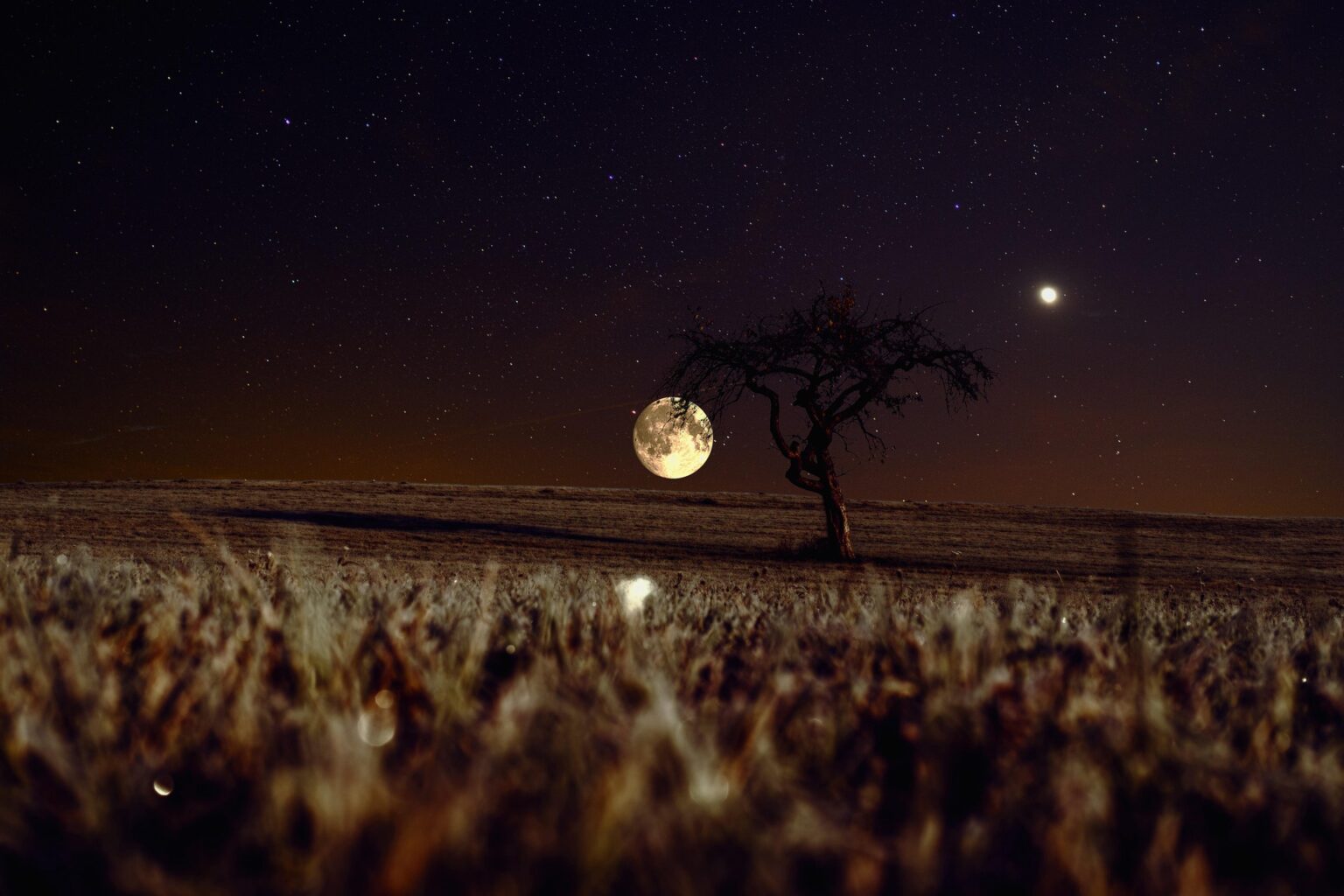 Earth Gains New Quasi-Moon: Astronomers Discover 2025 PN7 - ONLINESPACENEWS