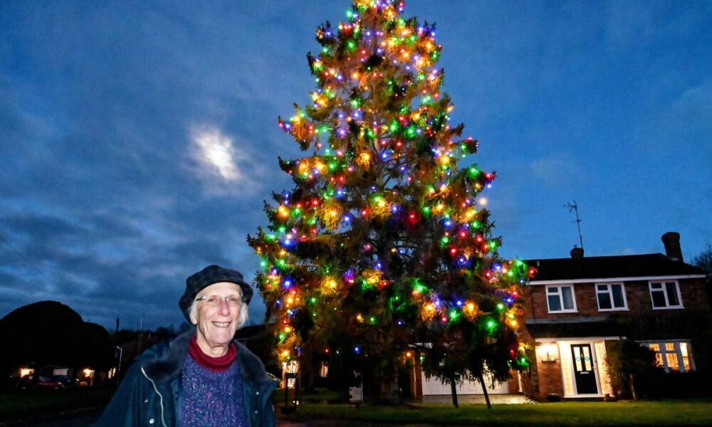 Grieving Widow Honors Late Husband with 50ft Christmas Tree ...