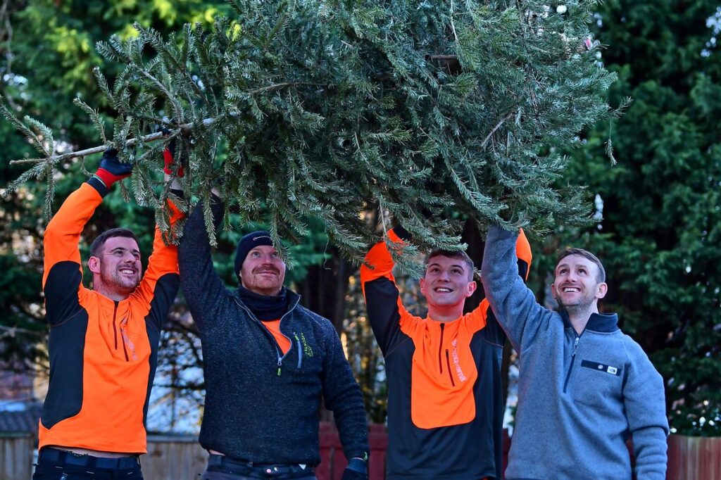 Liverpool Launches Christmas Tree Recycling Drive in January ...