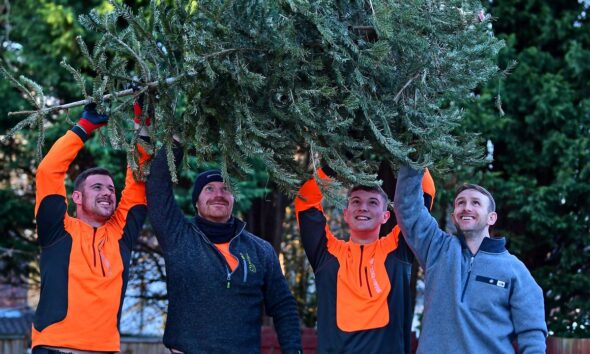 Liverpool Launches Christmas Tree Recycling Drive in January ...