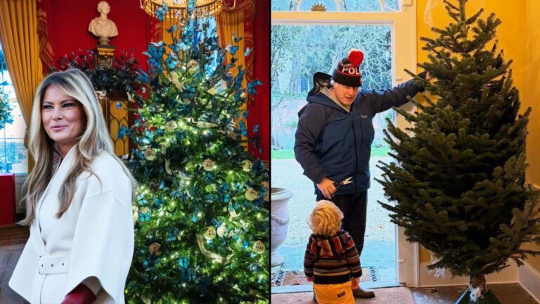 Melania Trump's Unique Christmas Tree Decorations Spark Debate ...