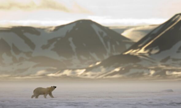 Norway Braces for Arctic Tensions Amid Greenland Controversy ...